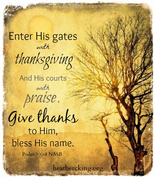 Devotions for Thanksgiving: Thank You for This Day – Heather C. King ...