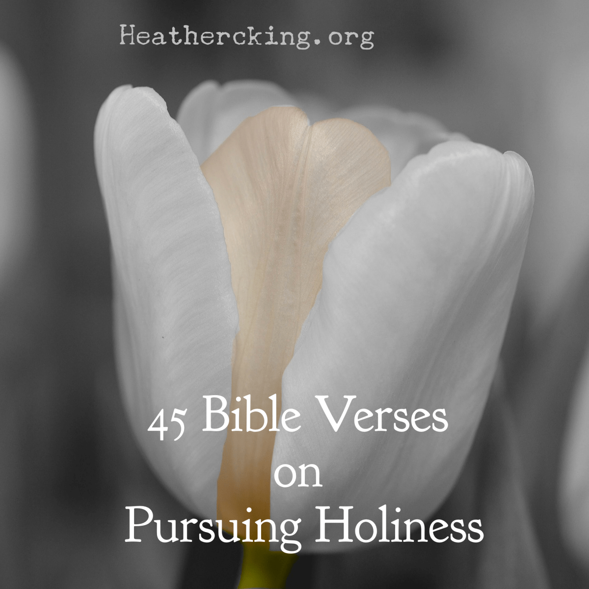 45 Bible Verses on Pursuing Holiness – Heather C. King – Room to Breathe