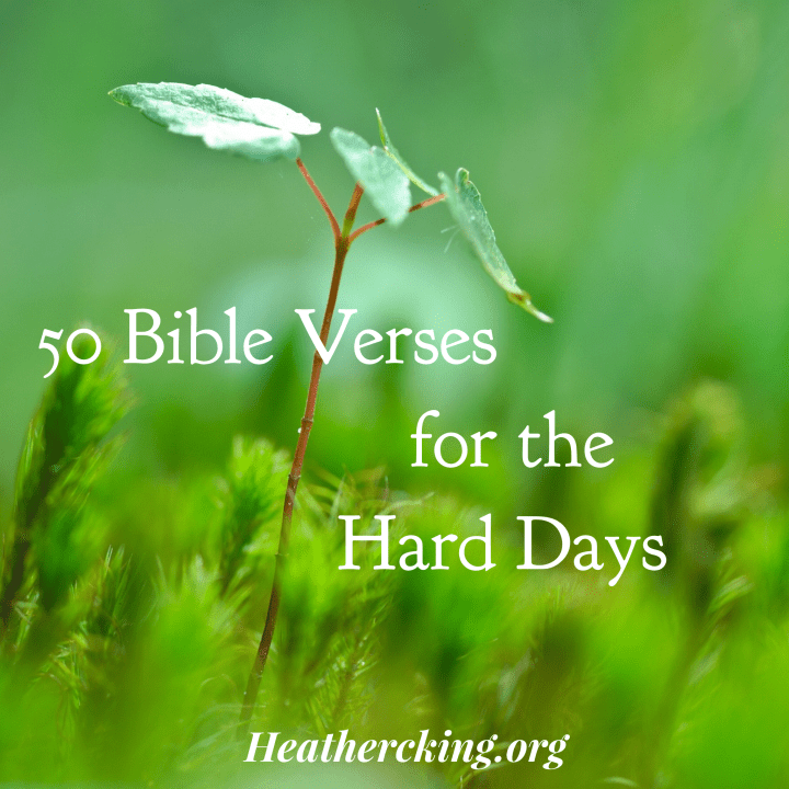 50 Bible Verses for the Hard Days – Heather C. King – Room to Breathe