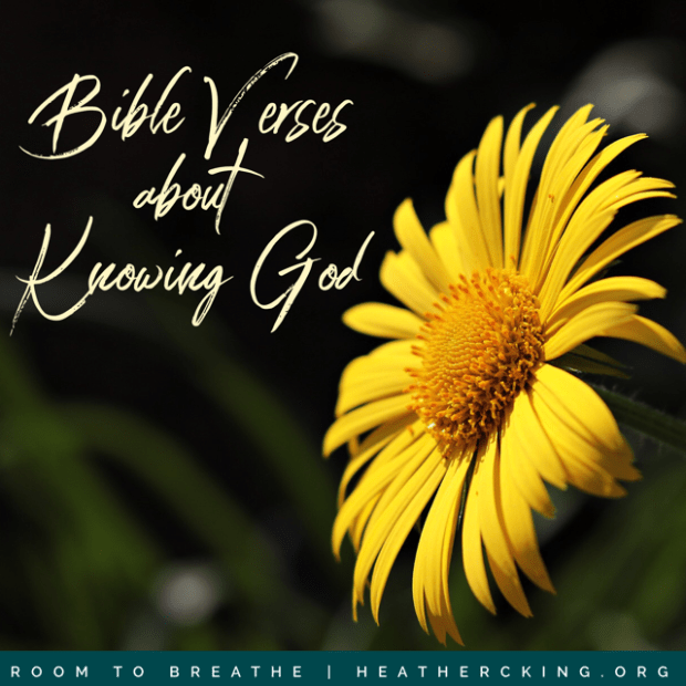 Bible Verses about Knowing God – Heather C. King – Room to Breathe
