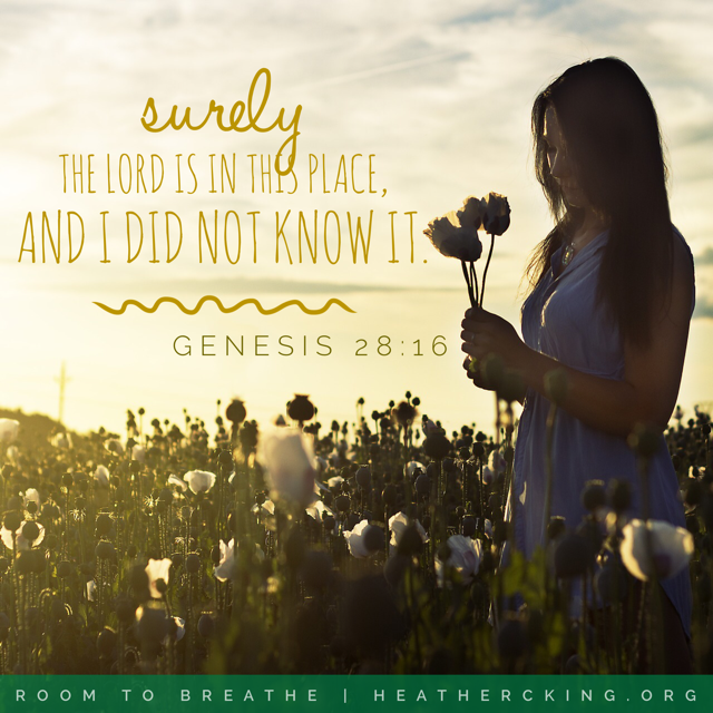 Finding the sacred in this place – Heather C. King – Room to Breathe