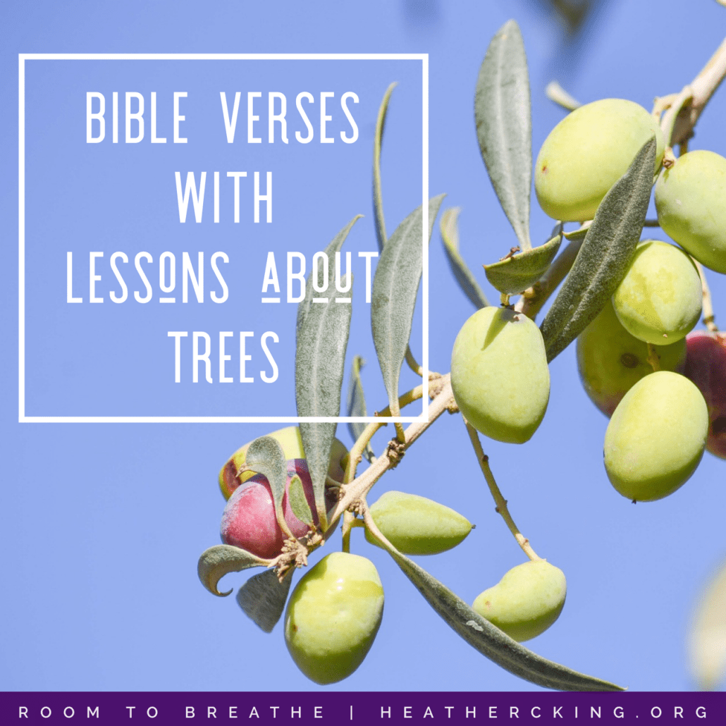 Bible Verses with Lessons about Trees – Heather C. King – Room to Breathe