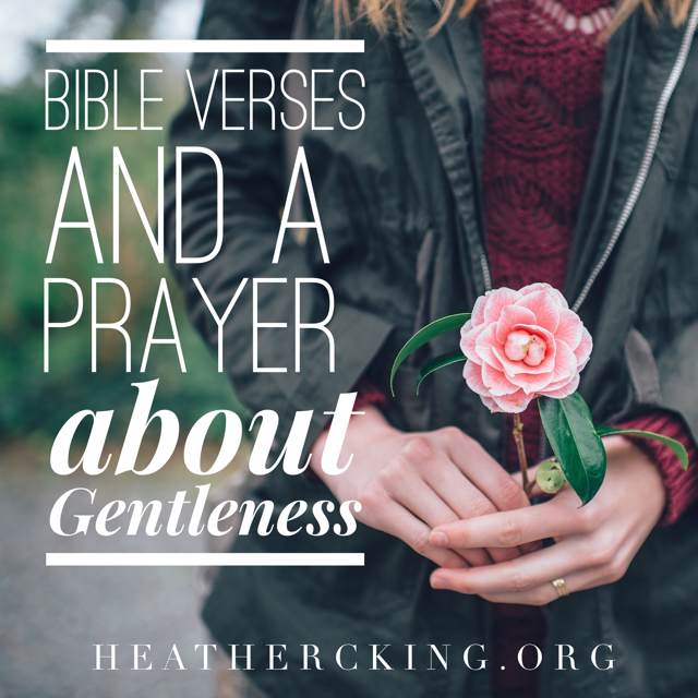 Bible Verses and a Prayer about Gentleness – Heather C. King – Room to ...