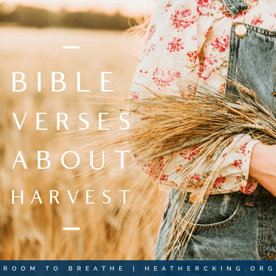 Bible Verses about Harvest – Heather C. King – Room to Breathe
