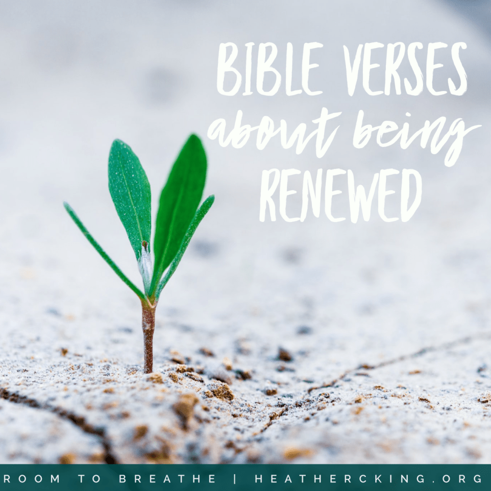 Bible Verses about Being Renewed – Heather C. King – Room to Breathe